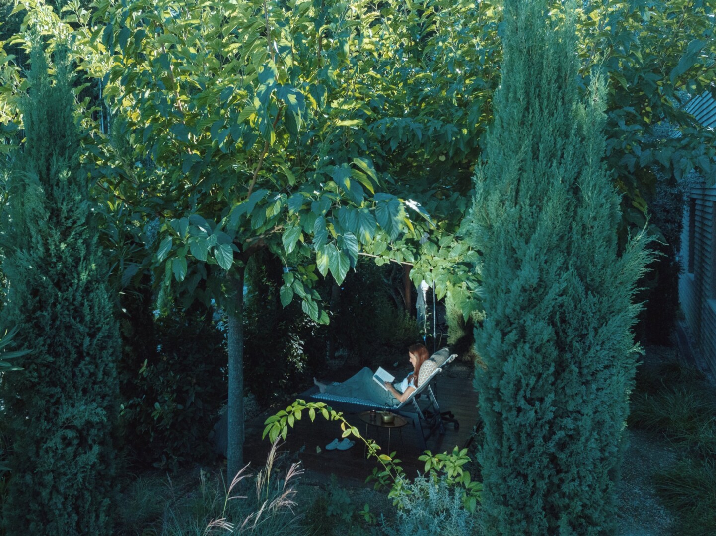 Advanced Medical Holistic Longevity Programme | Euphoria Retreat